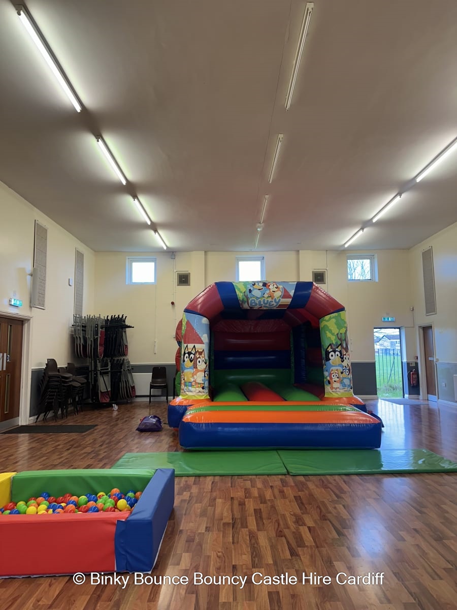 Bluey Multicolour bouncy castle - Bouncy Castle Hire and soft play hire ...