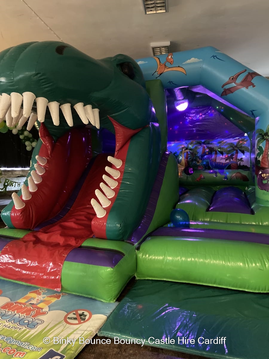 Dinosaur Bouncy Castle with Slide - Bouncy Castle Hire and soft play ...