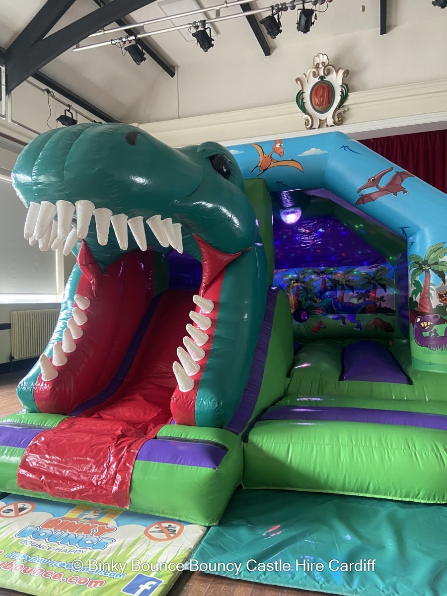 Dinosaur Bouncy Castle with Slide - Bouncy Castle Hire and soft play ...