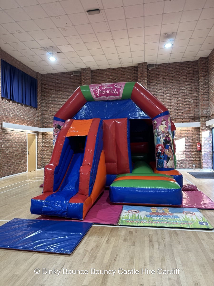 Disney Princess Multicoloured Front Slide - Bouncy Castle Hire and soft ...
