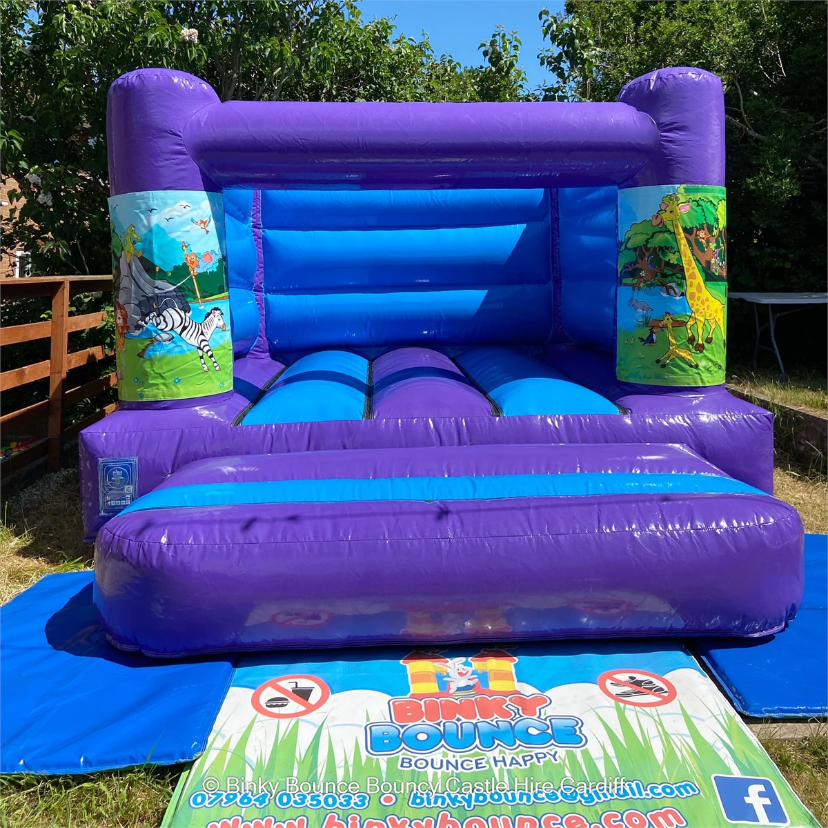 Jungle Safari Party Package 2 - Bouncy Castle Hire and soft play hire ...