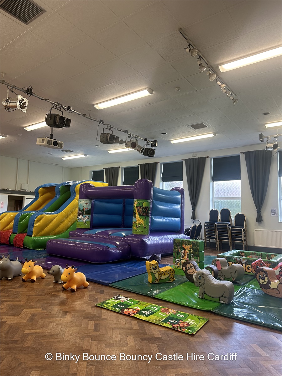 Jungle Safari Party Package 5 - Bouncy Castle Hire and soft play hire ...