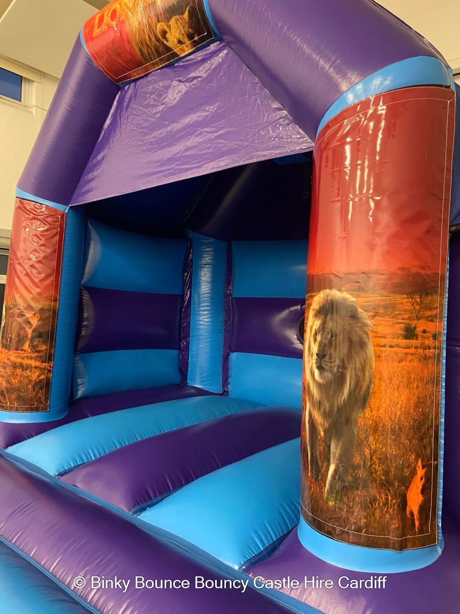 Lion King Theme Mini Disco Bouncy Castle (Small) - Bouncy Castle Hire ...