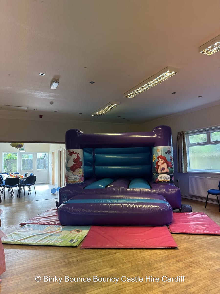 Little Mermaid Theme Low Height Bouncy Castle (Blue/Purple) - Bouncy ...