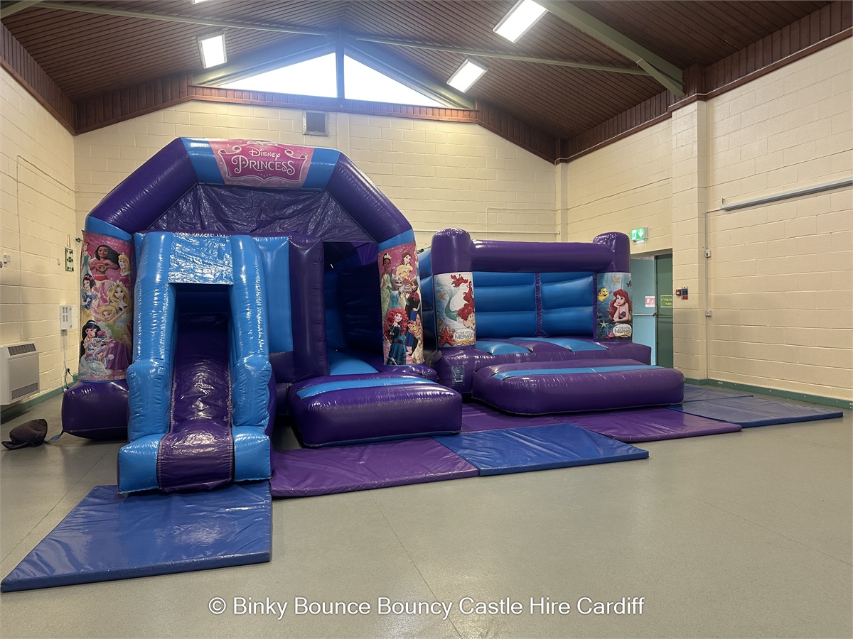 Princess Theme Party Hire - Bouncy Castle Hire and soft play hire in ...