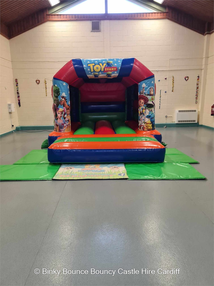 Toy Story Multicoloured Standard 12x15 - Bouncy Castle Hire and soft ...